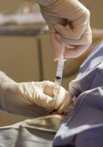 Platelet Rich Plasma (PRP) - Muller Veterinary Hospital