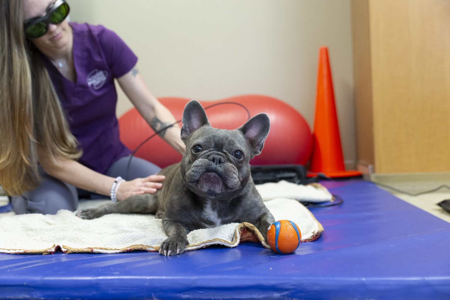 Pain Management - Muller Veterinary Hospital